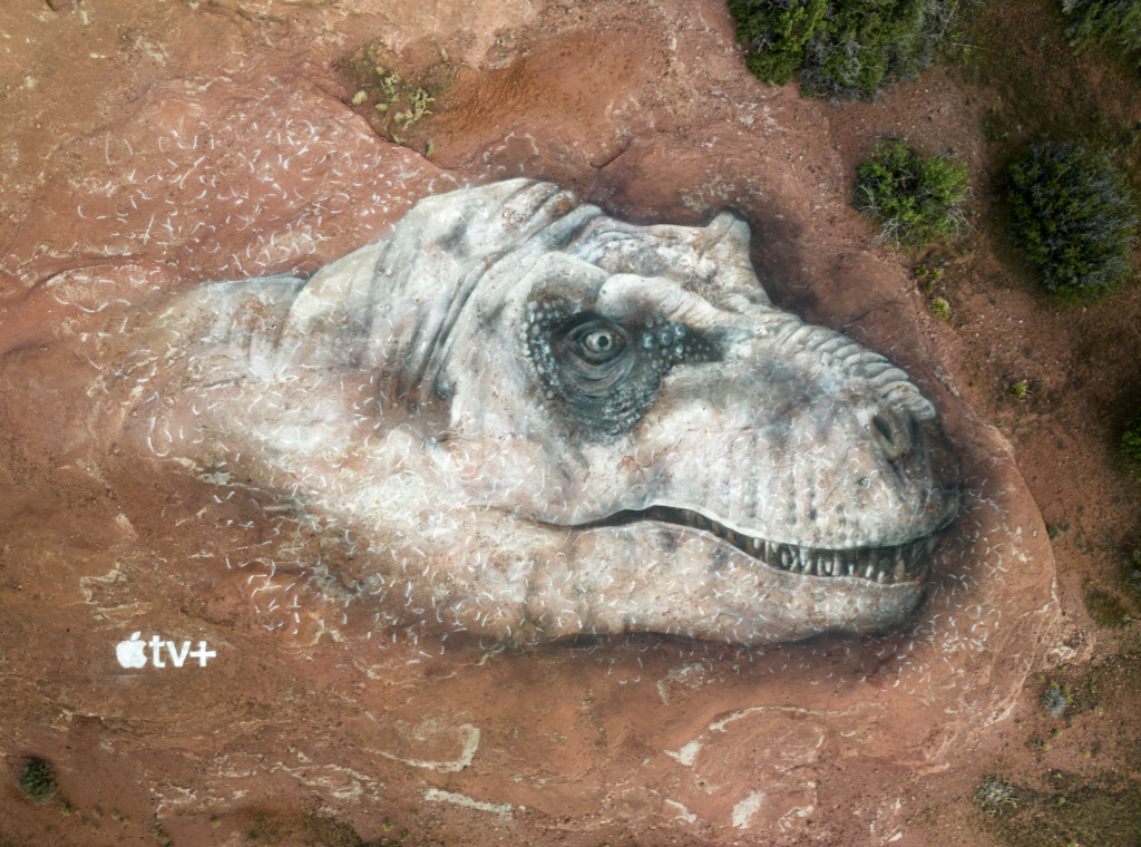 David Popa - MTArt Agency